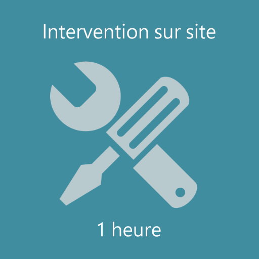 Ticket intervention 1 heure - DDLX